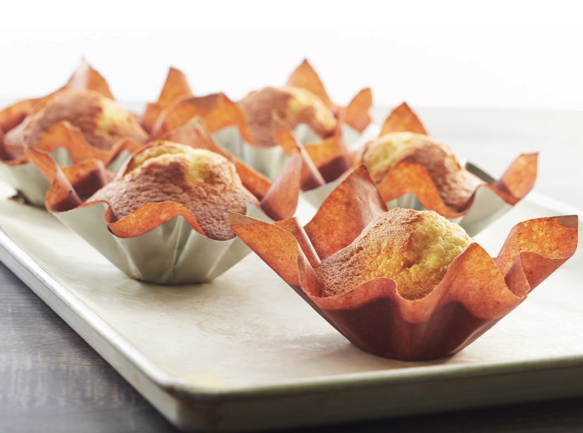 Panes mexicanos: irresistibles para todos - Culinaria Mexicana