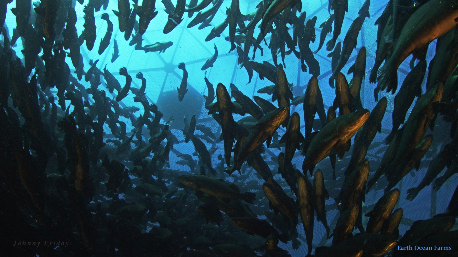 Pesca sustentable en México: El tiempo de nuestros mares