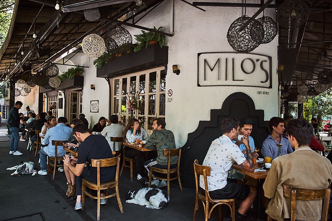 Cuatro restaurantes con menú para perros en CDMX