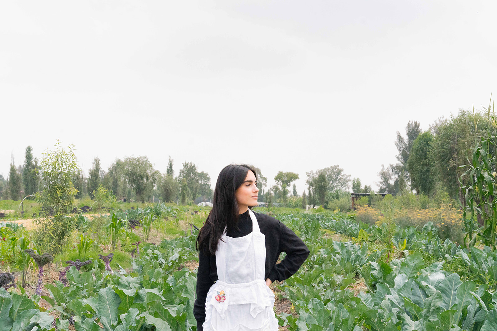 Mandoka: relatos que dan voz a los ingredientes - Culinaria Mexicana