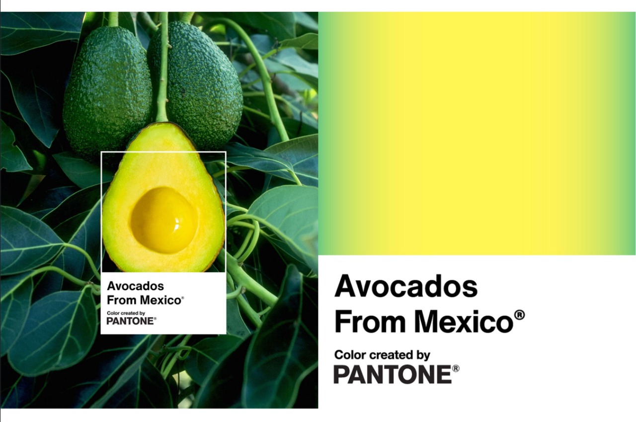 Pantone Color Institute crea color inspirado en el aguacate