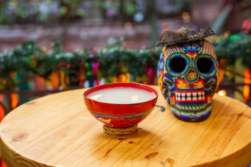 ¡Celebremos al pulque! Conoce los secretos de esta bebida ancestral