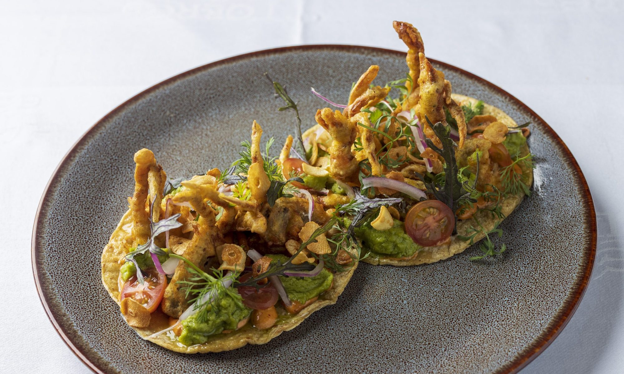 Index of /wp-content/uploads/2024/03