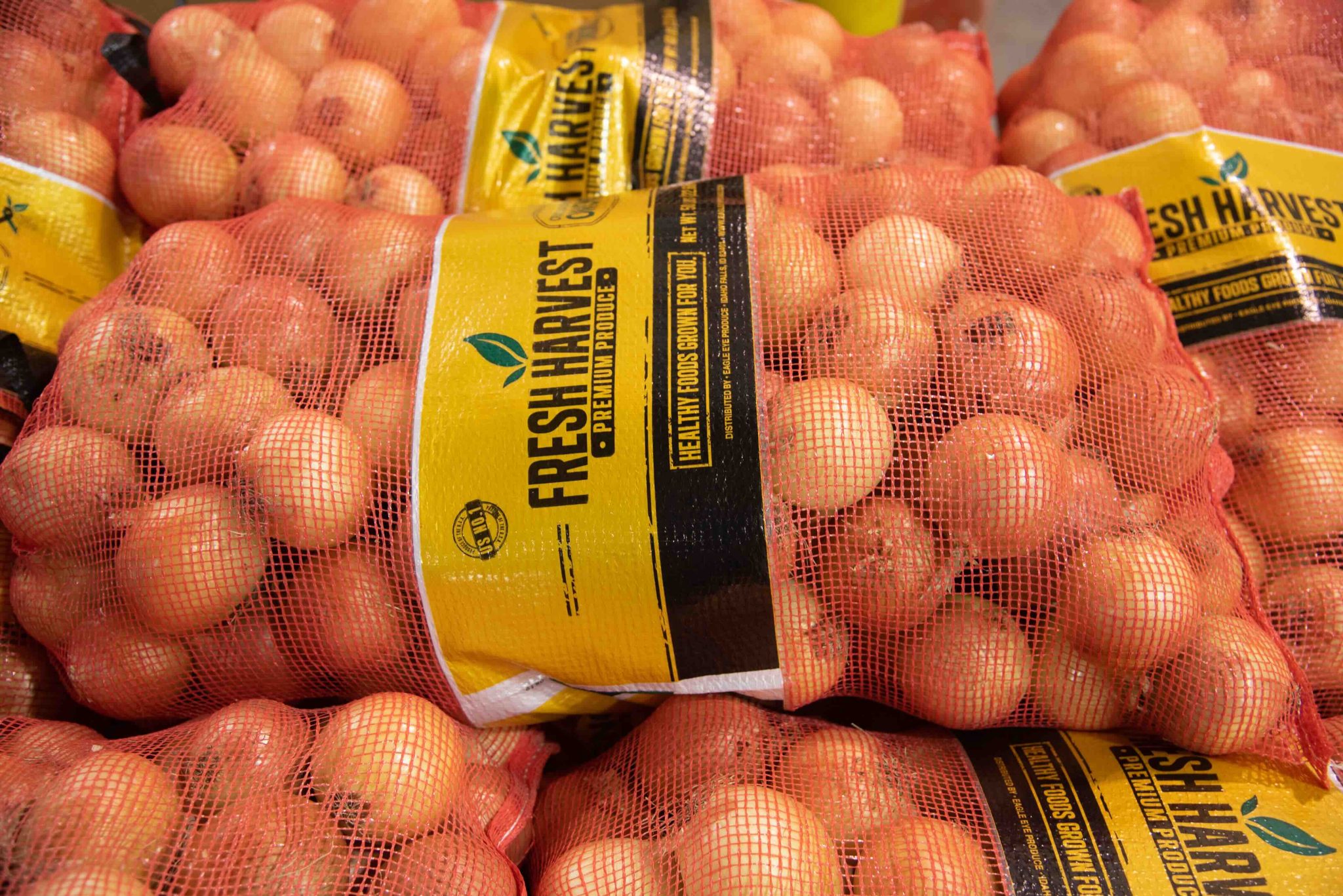 Tipos de cebolla y sus grandes sabores - Culinaria Mexicana