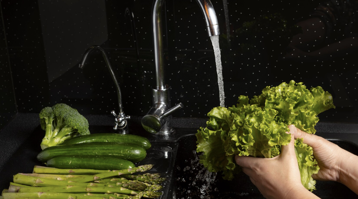 Inocuidad alimentaria, guía para evitar enfermedades por alimentos ...