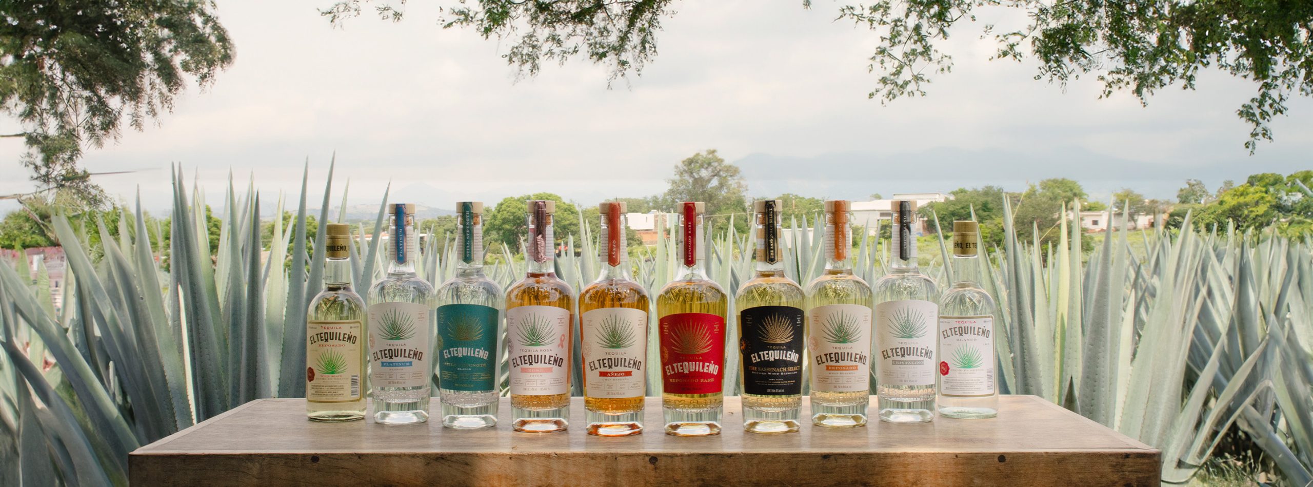 Tequila, 10 curiosidades para entender mejor esta bebida mexicana