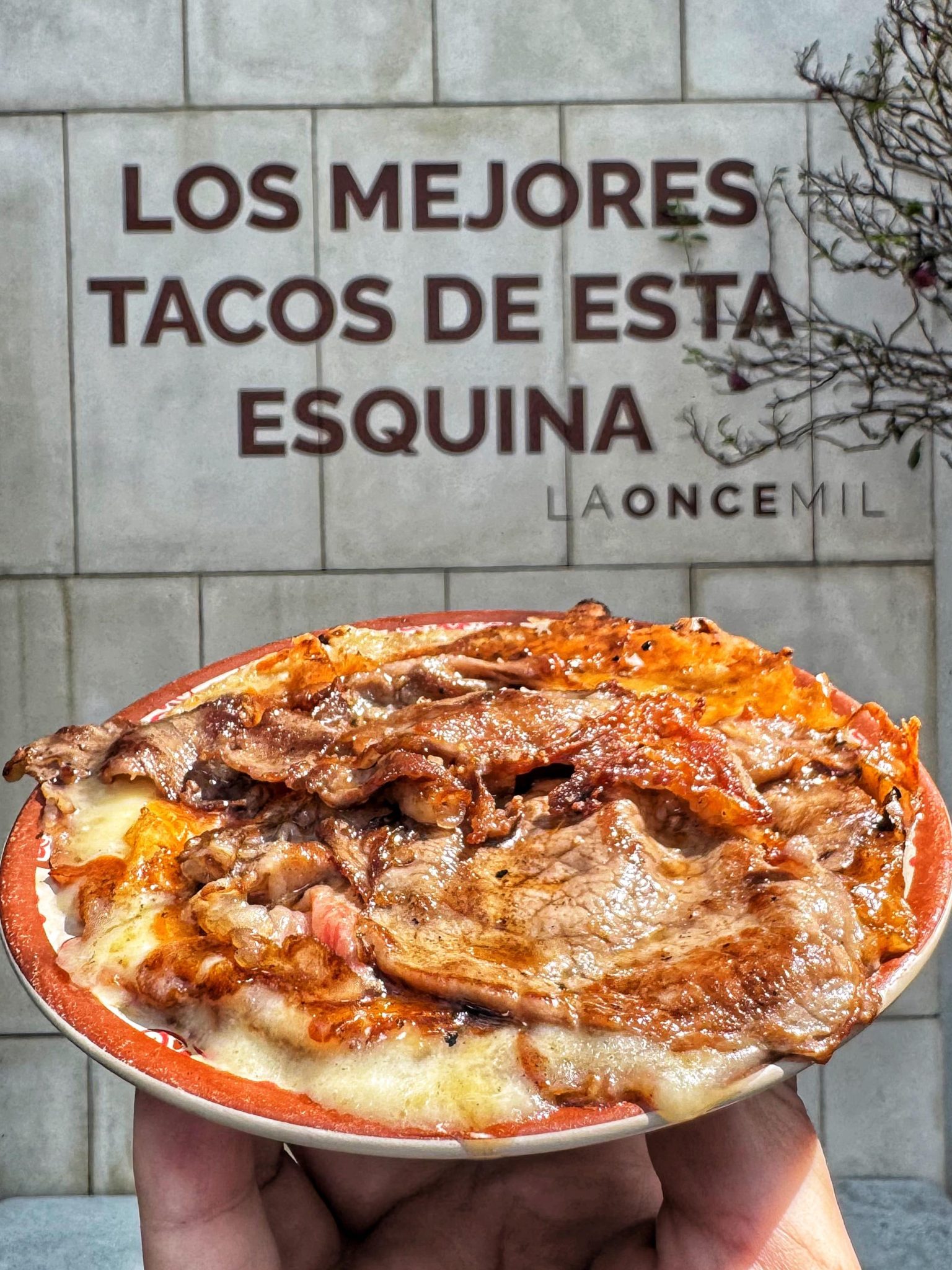 #AmexForFoodies, 31 restaurantes de CDMX con menús a precio especial ...